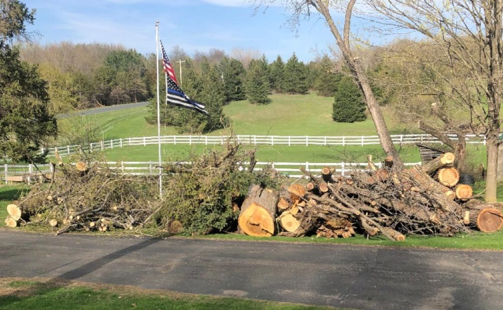 Tree Removal - Hathaway Tree Service | Potsdam MN